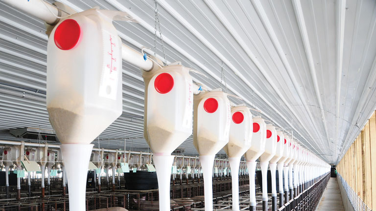 Econo Drop Feeder