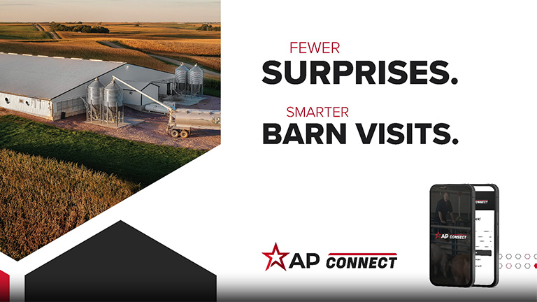 AP Connect